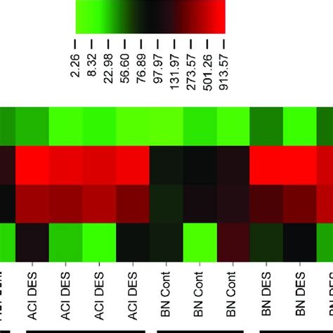 Pituitary Weights In Aci Bn And Ept7 Congenic Rats Female Rats Were