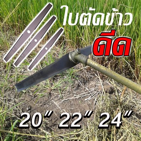 ใบมีอตัดข้าวดีด ใบมีดตัดข้าว ใบเกี่ยวข้าว ตราดอกบัว ราคา ใบ Shopee Thailand