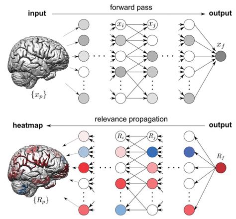 manifold learning