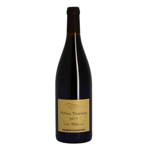Domaine Antoine Sanzay Saumur Champigny La Paterne 2023