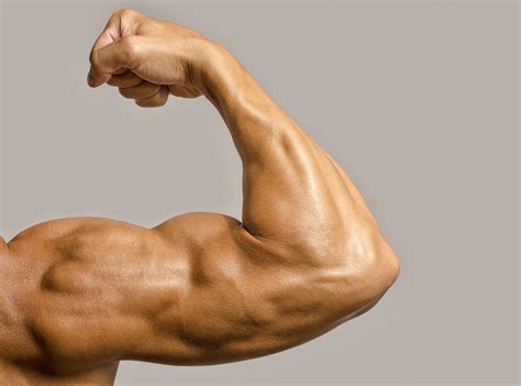Consejos para entrenar bíceps y tríceps en el gimnasioOregon 14