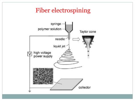 Polymeric And Metallic Scaffolds For Tissue Engineering Pptx