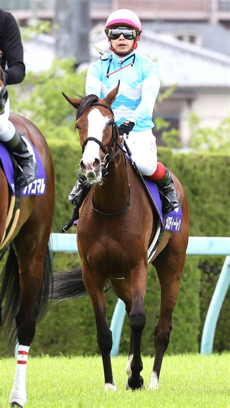 【天皇賞・春】小柄牝馬メロディーレーンは11着 池添「この馬なりに脚は使ってくれています」 スポーツ報知
