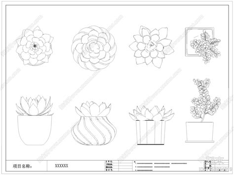 现代综合植物图库 多肉 盆栽 绿植 施工图施工图下载 Id 1163294919 【知末网】