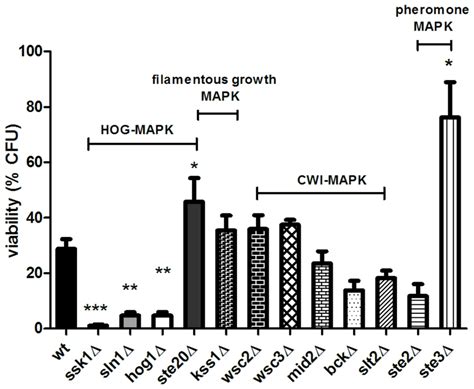 The Map Kinase Pathways Are Involved In The Sensitization Of S