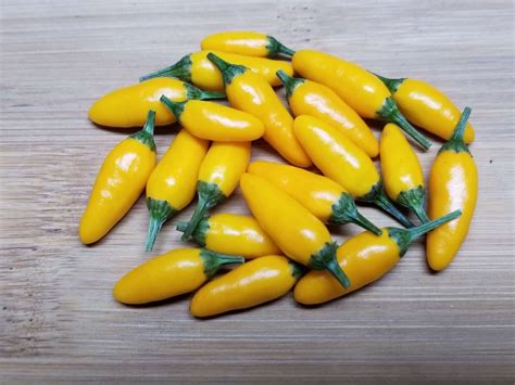 Yellow Pequin Pepper Plants Super Hot Chiles