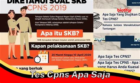 Panduan Lengkap Tes Cpns Persiapan Dan Strategi Sukses Biotifor
