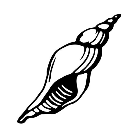 Sea Shell Vector Clipart 23206127 Vector Art At Vecteezy