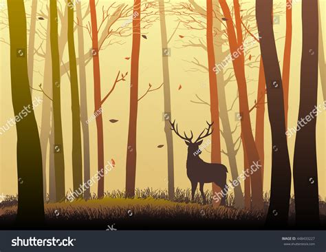 Hunting Woods Background
