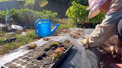 산골 총각 득이ㅣ시골 일상 힐링ㅣ산골마을ㅣ시골살이 Youtube