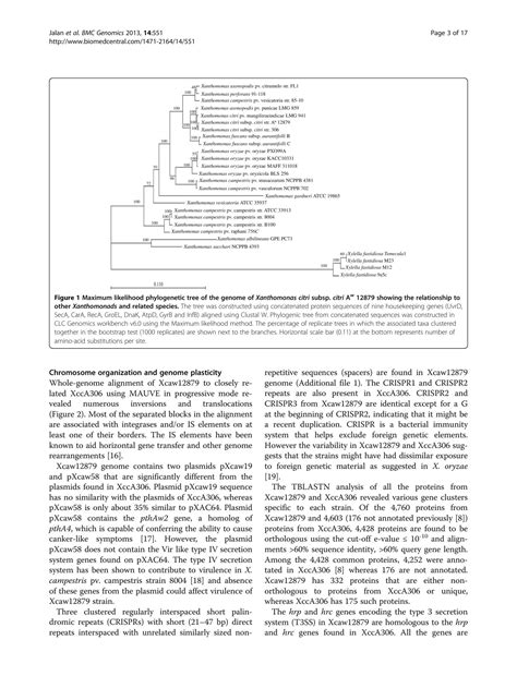 Solution Comparative Genomic And Transcriptome Analyses Of Pathotypes
