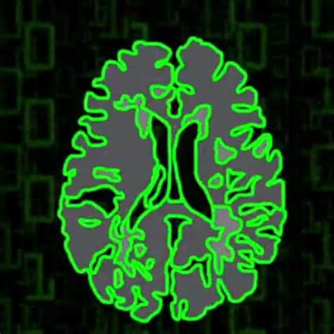 Introduction To Neurohacking In R Coursera MOOC List