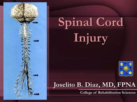 Ppt Spinal Cord Injury Powerpoint Presentation Free D
