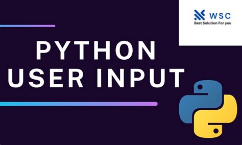 Python User Input Web Solution Code Medium