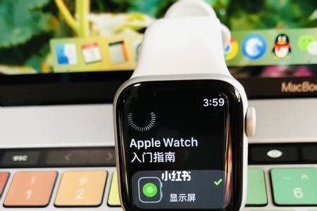 iwatchs8配什么充电头