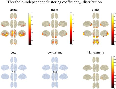 Colored Brain Maps Of Threshold‐independent Amplitude‐based Clustering