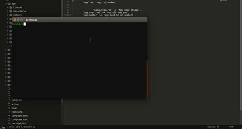 GitHub Lakshmaji Validators