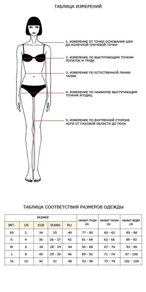 Таблица размеров тела