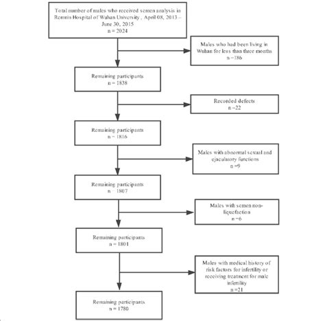 Flowchart On Sperm Production And Development