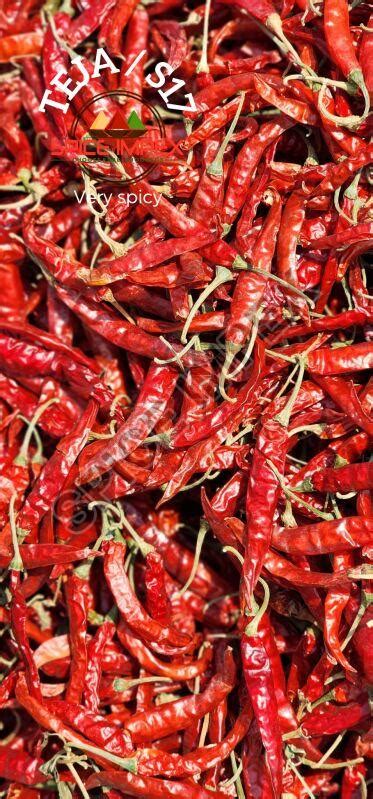Teja Chilli Supplier Wholesale Teja Chilli Supplier From Haveri India