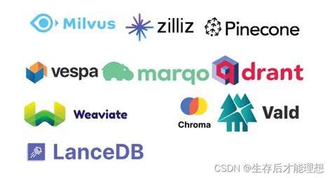 向量数据库的分类概况向量库类型 Csdn博客