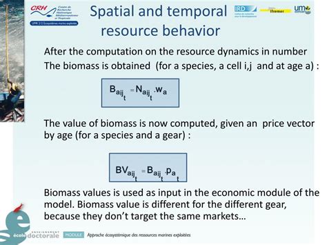 Ppt Fleet Dynamics Of The Sw Indian Ocean Tuna Fishery A