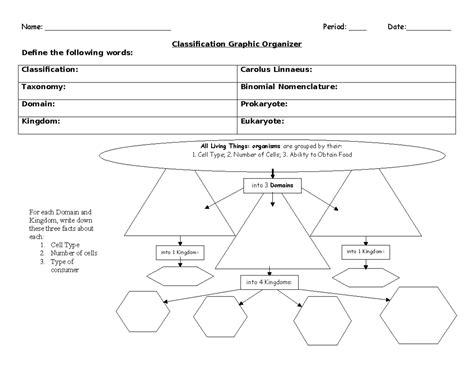 Classification Graphic Organizer Into 4 Kingdoms Into 1 Kingdom Into 1 Kingdom All Living