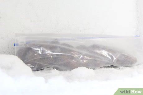 How To Store Dates Steps With Pictures WikiHow