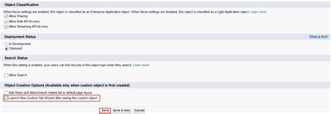 Creating Custom Object In Salesforce