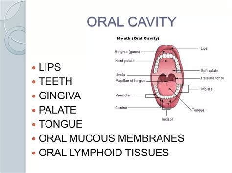 Oral Cavity Lesions Pptx