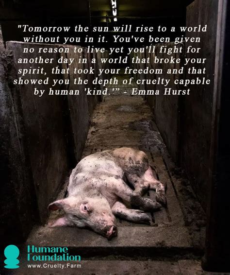 Factory Farming Exposed The Hidden Cruelty Behind Meat Dairy And Egg
