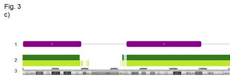 Identification Of Upd By Molecular Genetic Testing A B