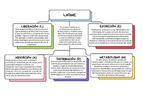 Tarea Mapa Conceptual Del Proceso Ladme Y Farmacocinetica Farmacia Y