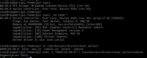 Unbind The Native Serial Driver Error · Issue 4159 · Raspberrypilinux
