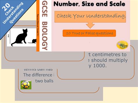 Number Size And Scale Teaching Resources
