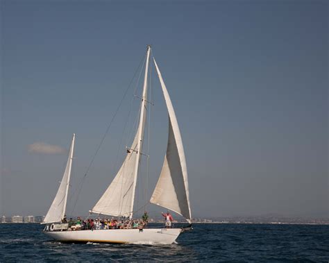 Sail Jada San Diego Bay Sailing Charters And Tours San Diego Whale
