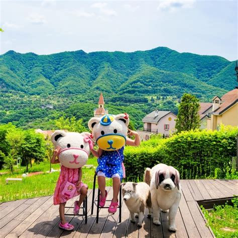 가평 가볼만한곳 스위스 마을 에델바이스 스위스 테마파크 네이버 블로그