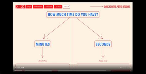 One Of 100s Of Shopify Examples Ruby About Us