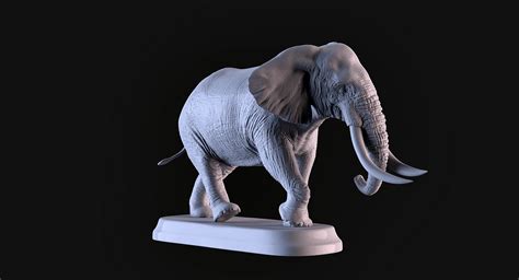 Elephant 3d Print Model By Max