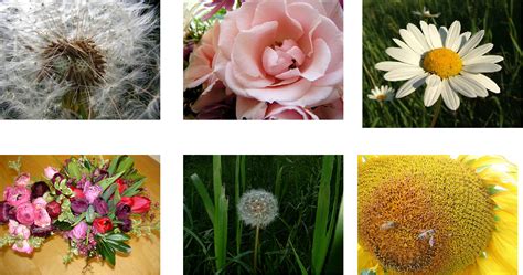creating image classification model with bayesian perspective towards