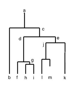 R Plot Tree With Specified Branch Length And Colored Branch Stack Overflow