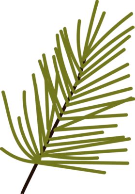 Simple Tree PNGs For Free Download