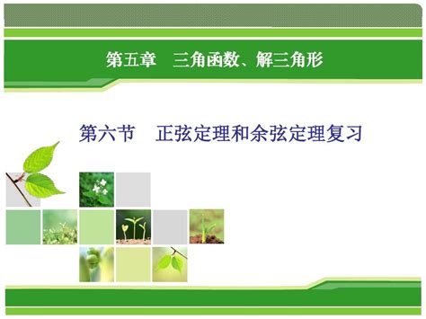 正弦定理和余弦定理复习 公开课课件 Ppt课件 Word文档在线阅读与下载 免费文档