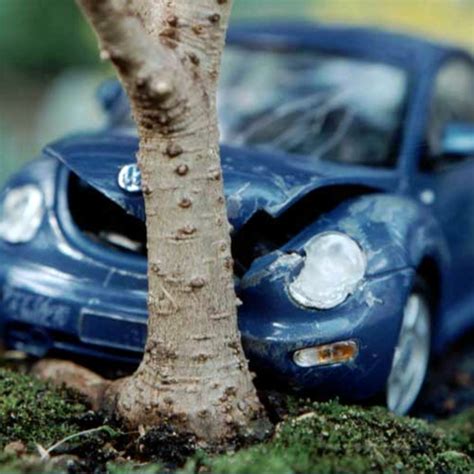 Crash Your Code Lessons Learned From Debugging Things That Should