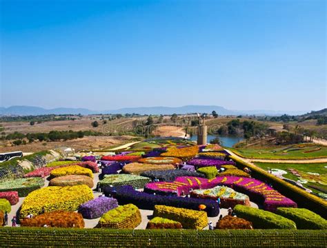 Beautiful Garden Of Colorful Flowers In Summer On Blue Sky Stock Image