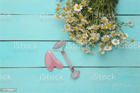 카모마일이 있는 파란색 나무 배경에 얼굴 롤러와 구아 샤 돌 마사지 천연 화장품 컨셉 위쪽 보기 개념에 대한 스톡 사진 및 기타 이미지 Istock