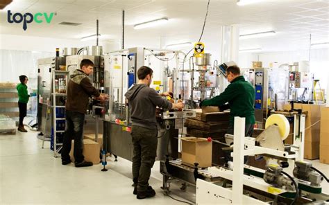 Kinh doanh là gì lĩnh vực kinh doanh chính yếu hiện nay Vieclamkinhdoanh