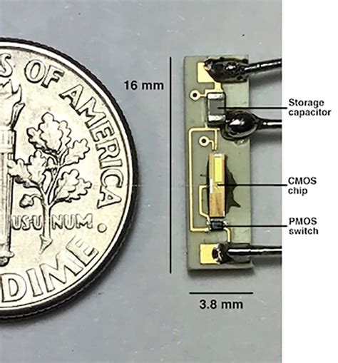 New Pacemaker Doesn T Need Wires Or A Battery Futurity