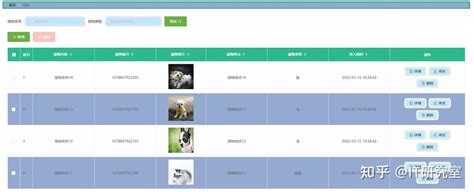 Java项目怎么做？宠物领养系统 Java项目实战 知乎