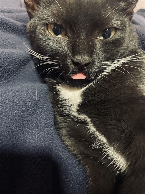 Blep Shes So Gorgeous Mi Negrita From Ecuador 🇪🇨🫡 Rblep